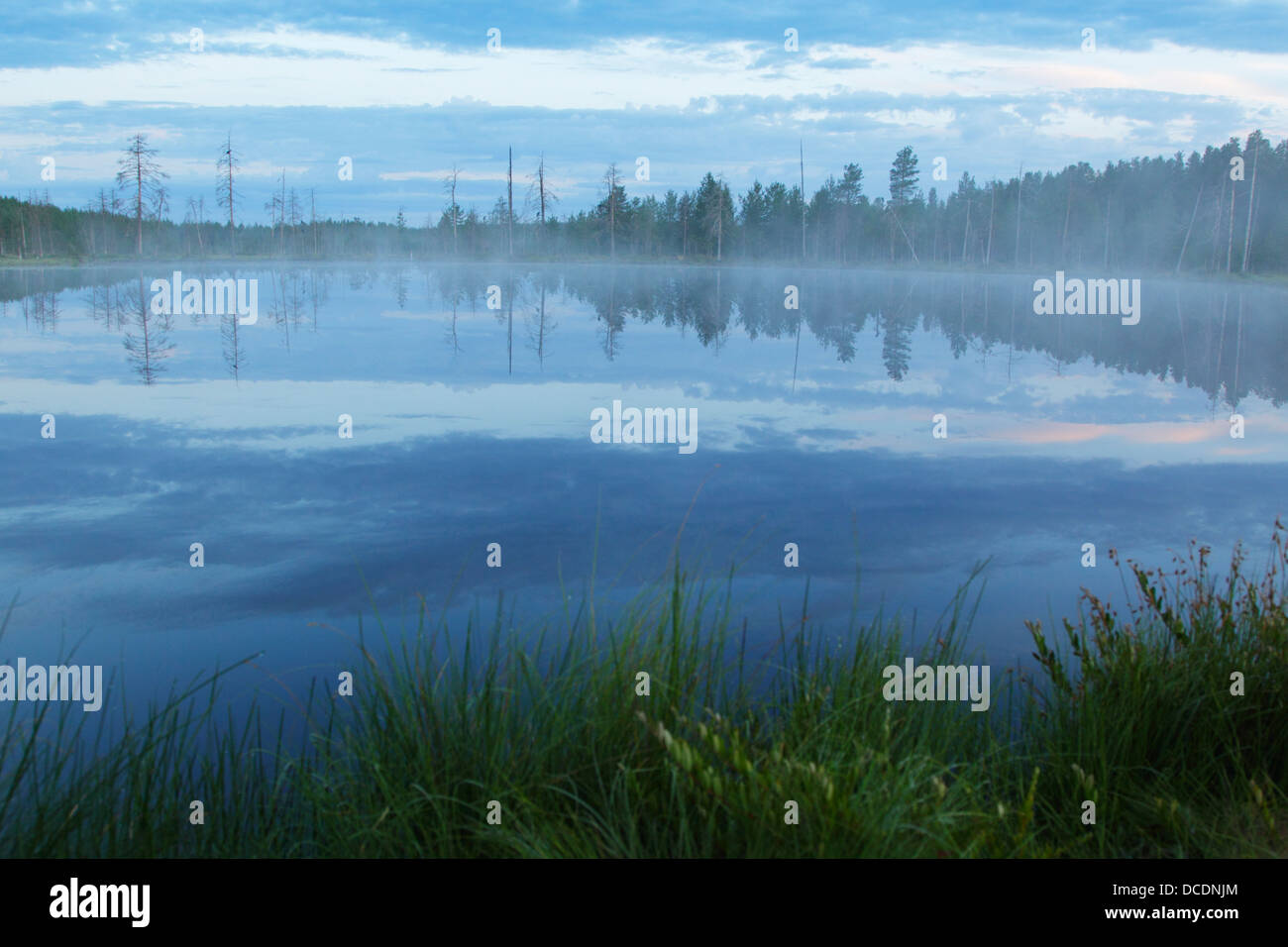 Very early morning view of mist over a small lake in Finland Stock ...