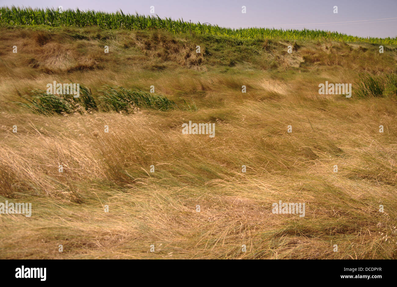 August blue hi-res stock photography and images - Alamy