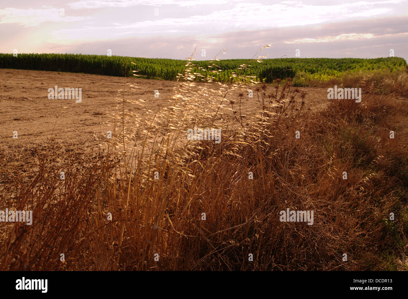 Fallow ground hi-res stock photography and images - Alamy