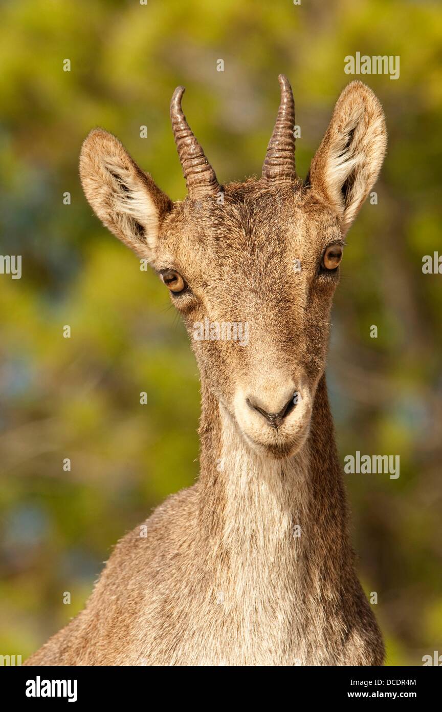 Orientacion vertical hi-res stock photography and images - Alamy