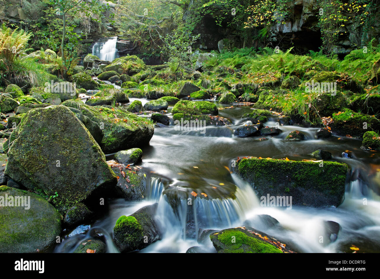 Eller Beck cascading over the rock step of Lower Thomason Foss Stock ...