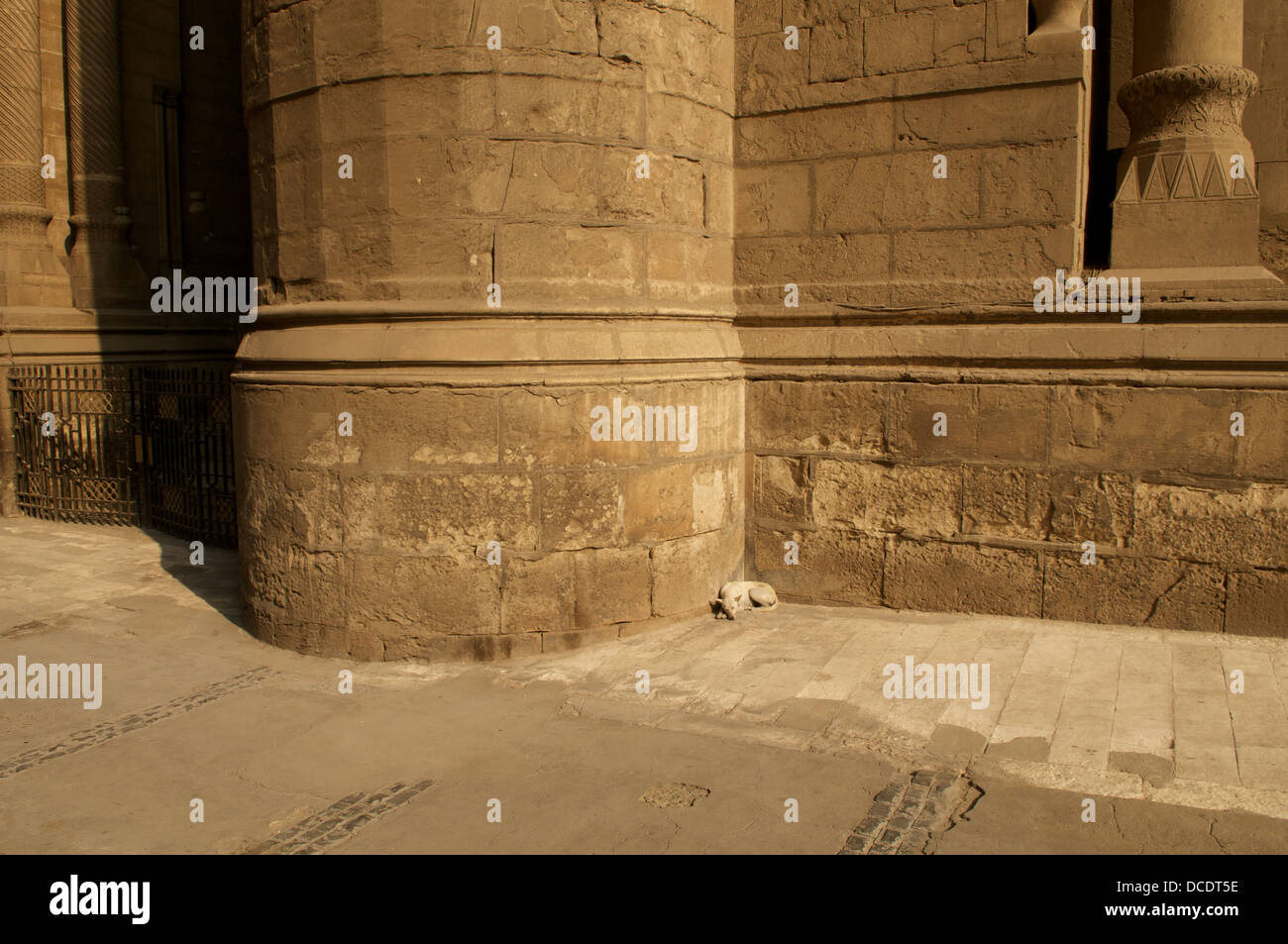 Sleeping dog at the foot of a an abutment of the Sultan Hassan mosque ...