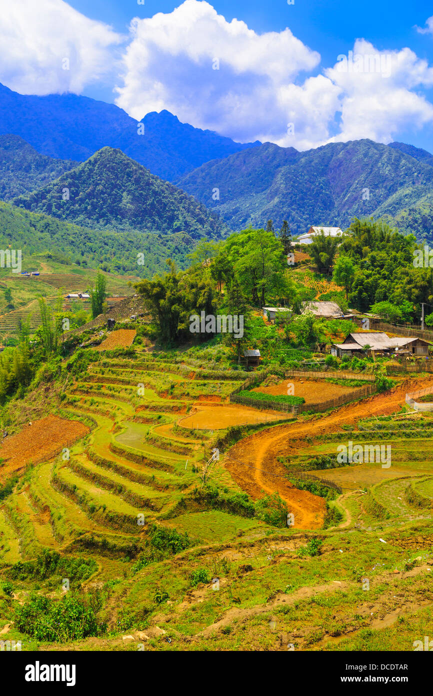 Terraced rice fields in Cat Cat Village in the Muong Hoa valley near ...