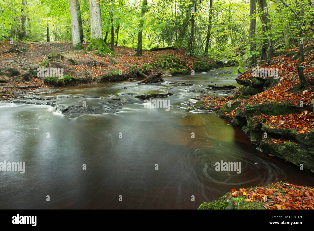May Beck as it flows through Sneaton Forest in the North York Moors ...