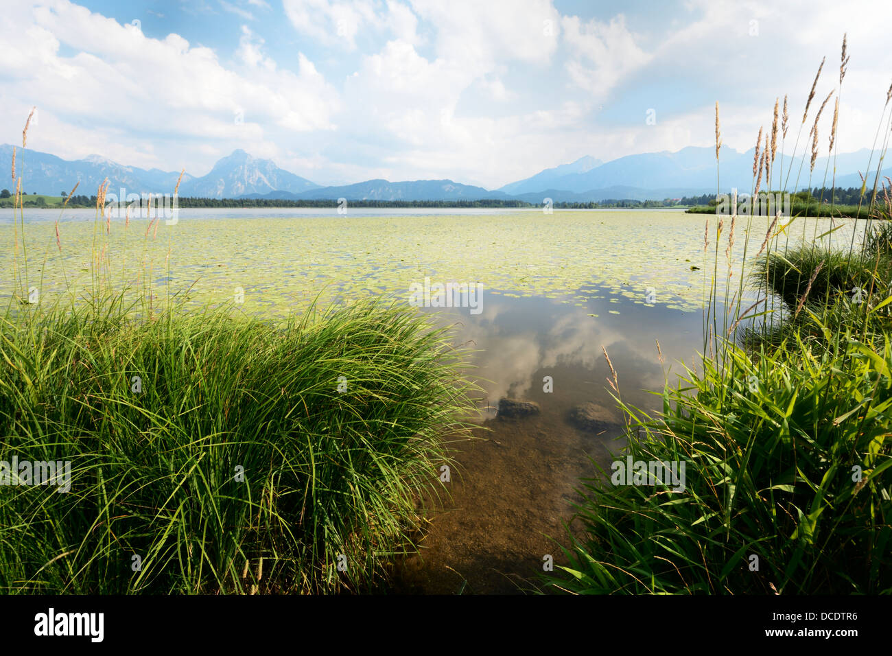 Lake Hopfensee in the Allgaeu (Bavaria, Germany Stock Photo - Alamy