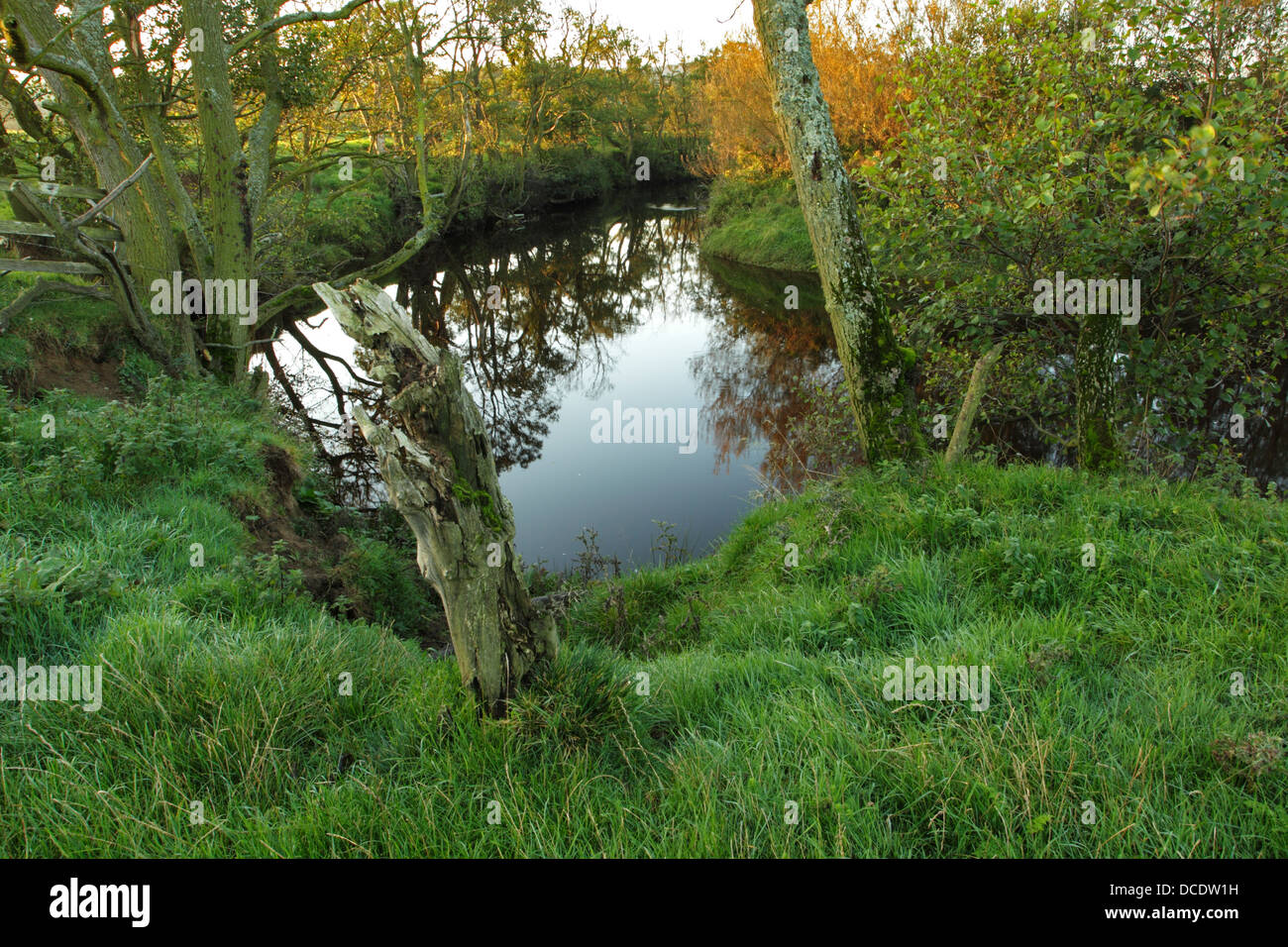 A peaceful morning view of a bend in the River Esk in the North York ...