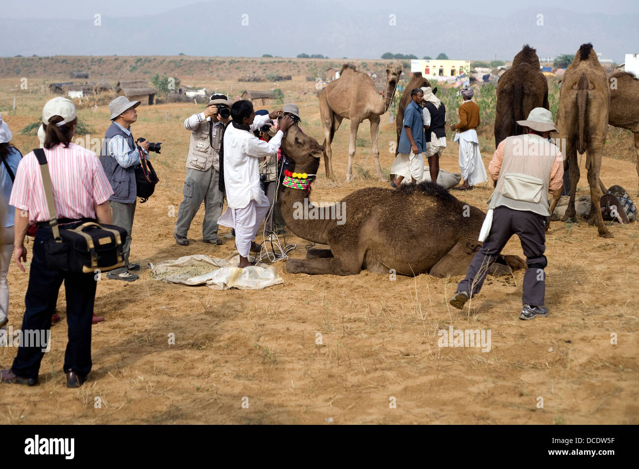 Japanese tourists during Pushkar camel fair Stock Photo - Alamy