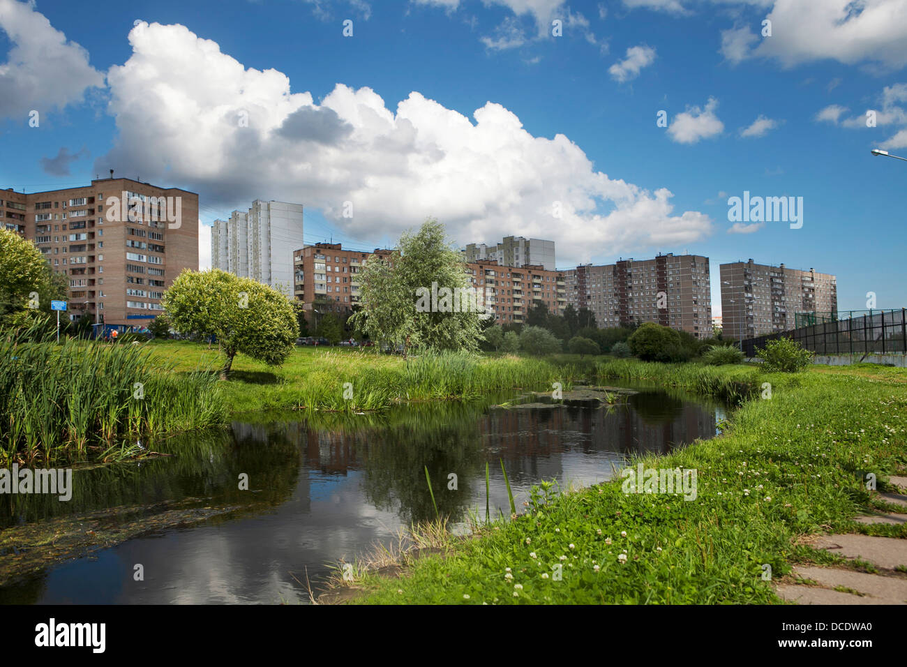 urban landscape. River reeds and a reflection of a high-rise building ...