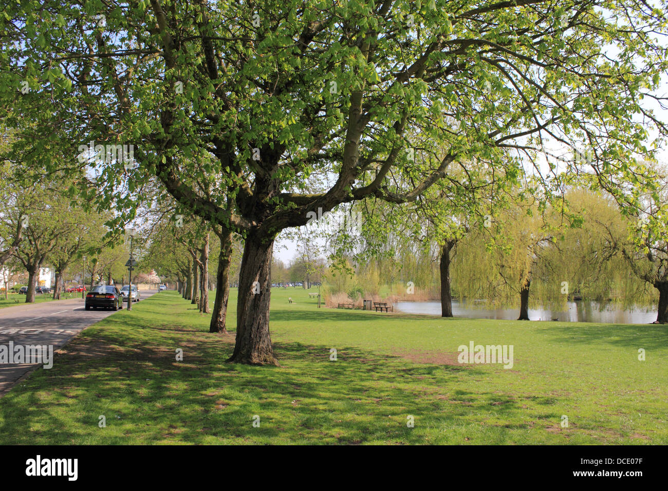 Ham uk hi-res stock photography and images - Alamy