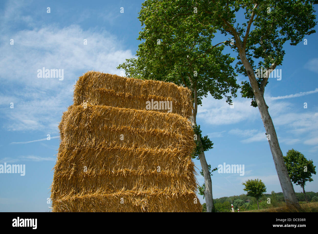 Corn fields in Gaillac, France Stock Photo - Alamy