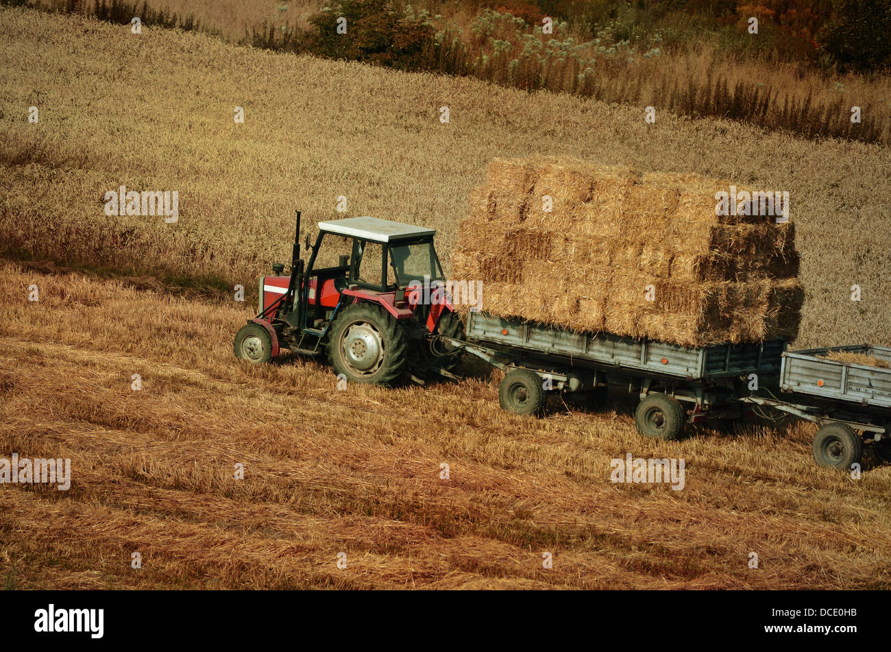 Tractor straw bale wheat hi-res stock photography and images - Alamy