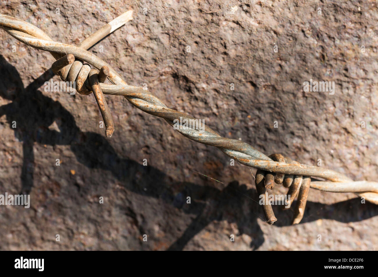 Barbed wire close up Stock Photo - Alamy