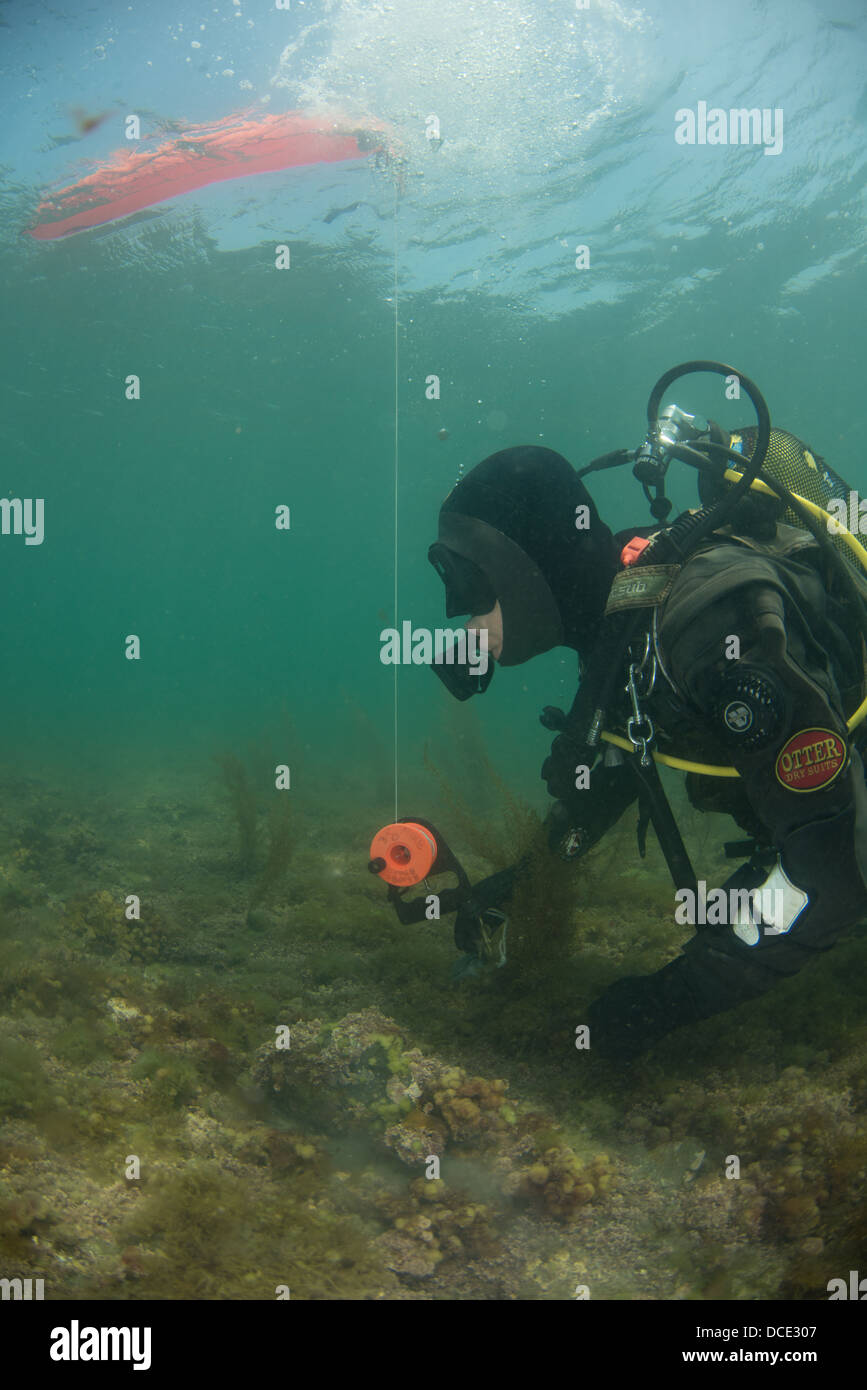 Scenic diving, diver in Kimmeridge bay, Voluntary marine zone, Scuba ...
