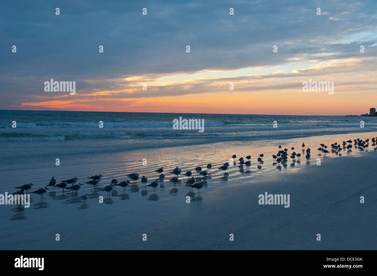 USA, Florida, Sarasota, cloudy Sunset on the Crescent Beach, Siesta Key ...