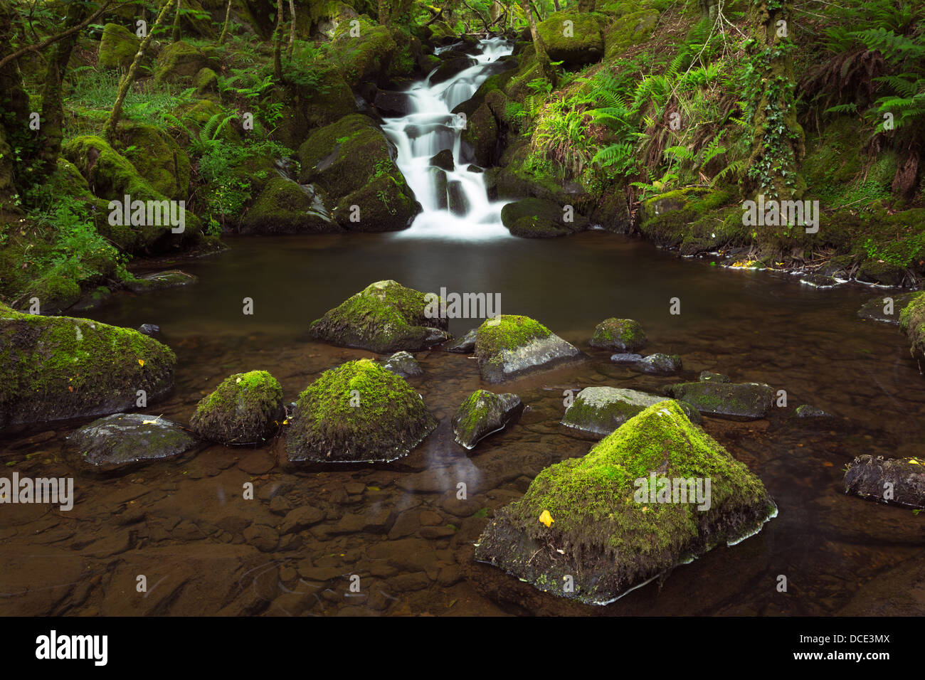 Black Pool, Colly Brook near Peter Tavy. Dartmoor national park, Devon ...