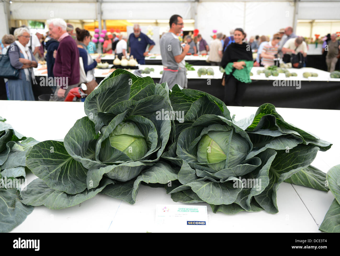 Vegetable exhibit hi-res stock photography and images - Alamy