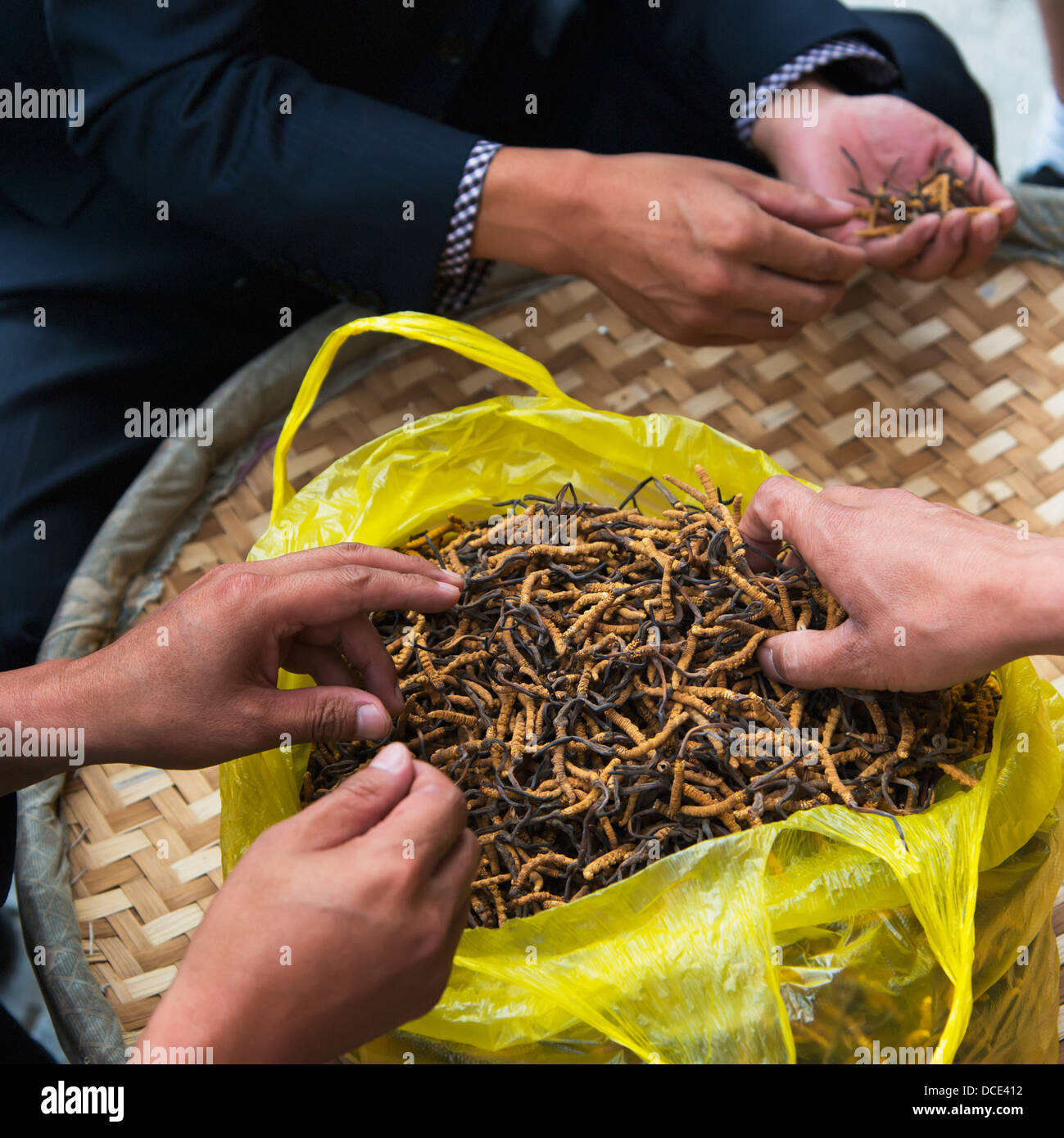 People Sorting Items Out of Bag; Tibet, Xizang, China Stock Photo - Alamy
