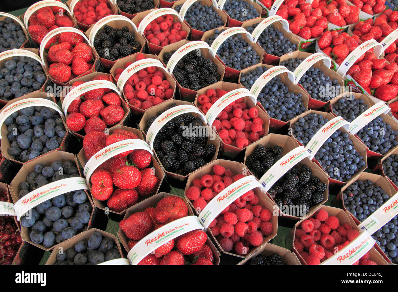 Fruits display, Jean-Talon Market, Montreal, Quebec, Canada Stock Photo ...