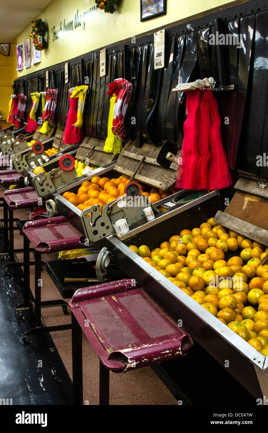 Fruit_packing hi-res stock photography and images - Alamy