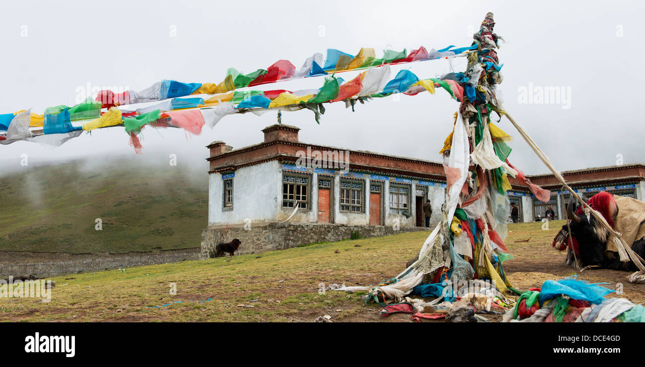 China the wind is blowing windy weather hi-res stock photography and ...