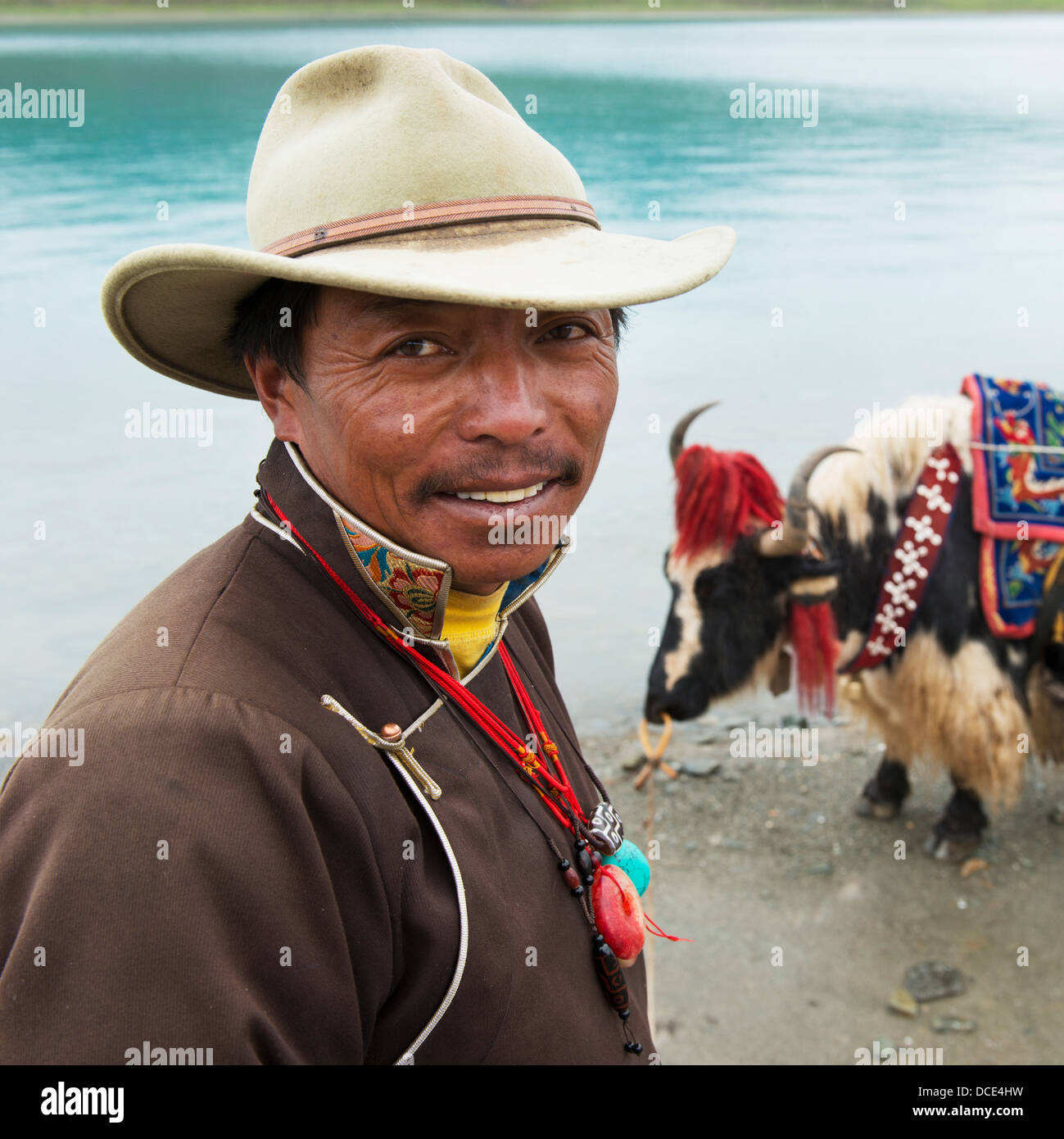 China, Xizang, Tibet, Shannan, Man and his decorated yak Stock Photo - Alamy