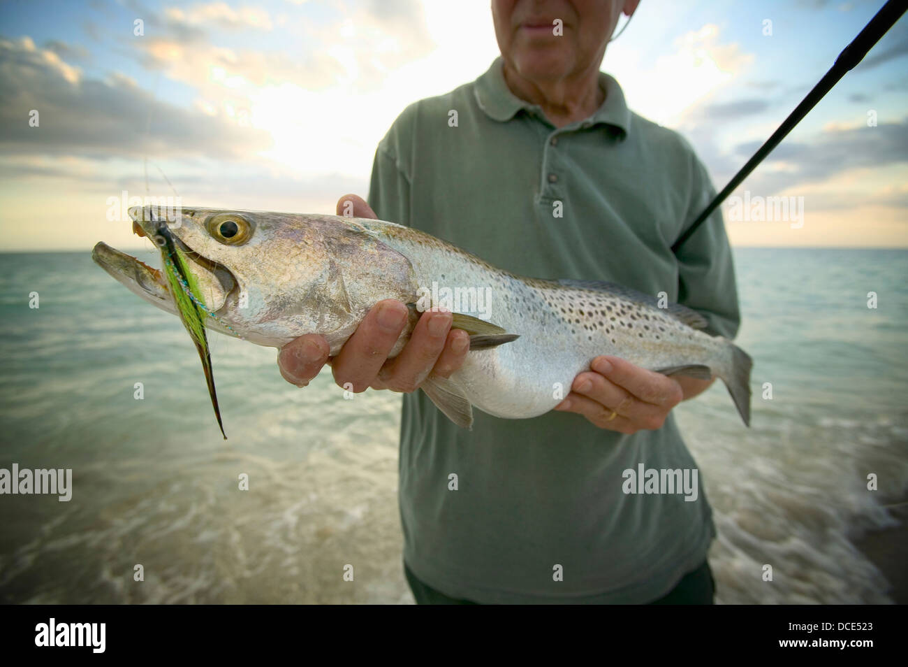 Half man half fish hi-res stock photography and images - Alamy