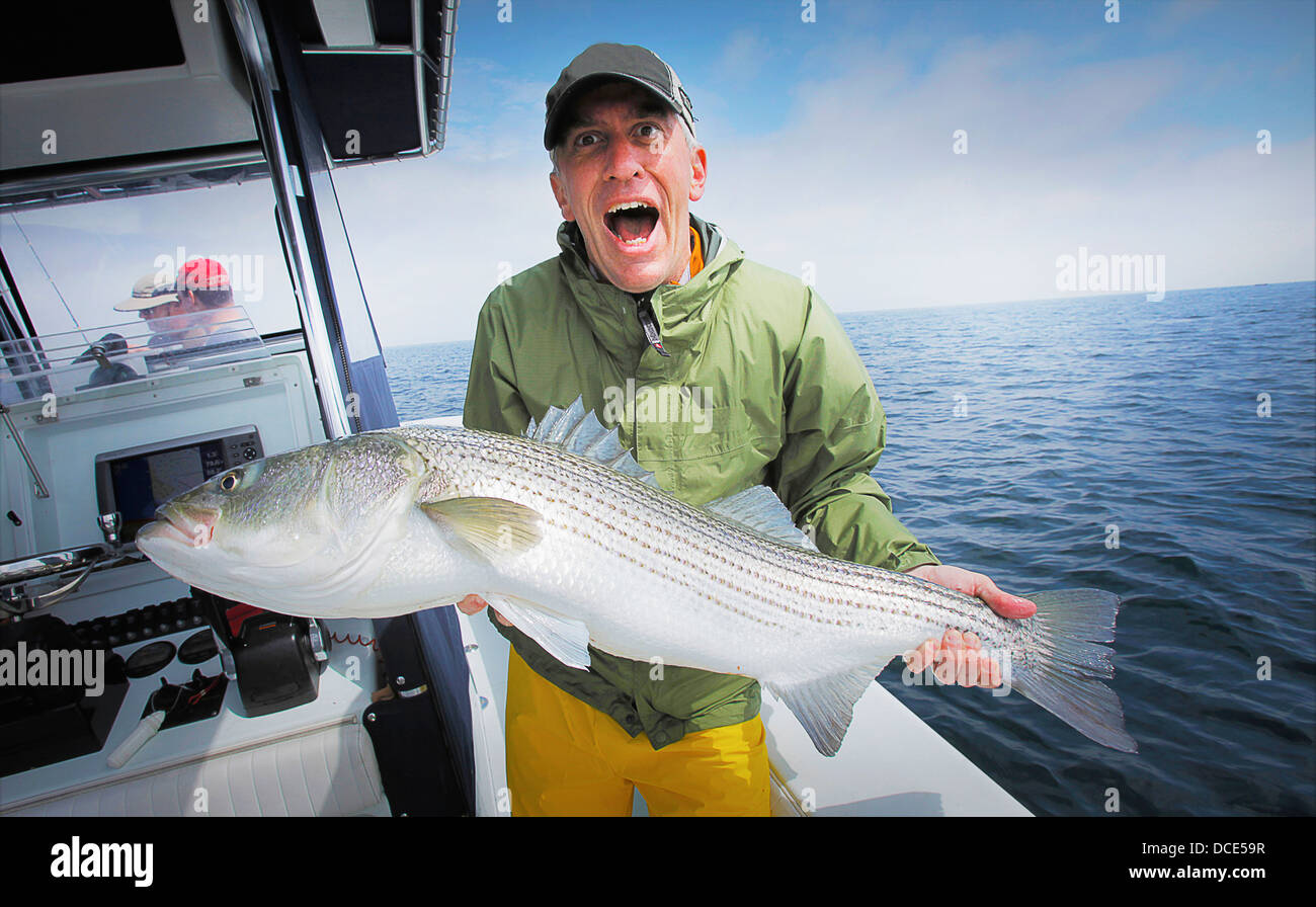 Excited man holding a striped bass; cape cod massachusetts usa Stock ...