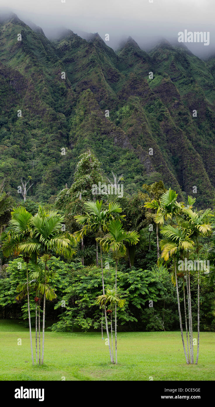 USA, Hawaii, Oahu, Honolulu. Cliffs of Koolau mountains above ...