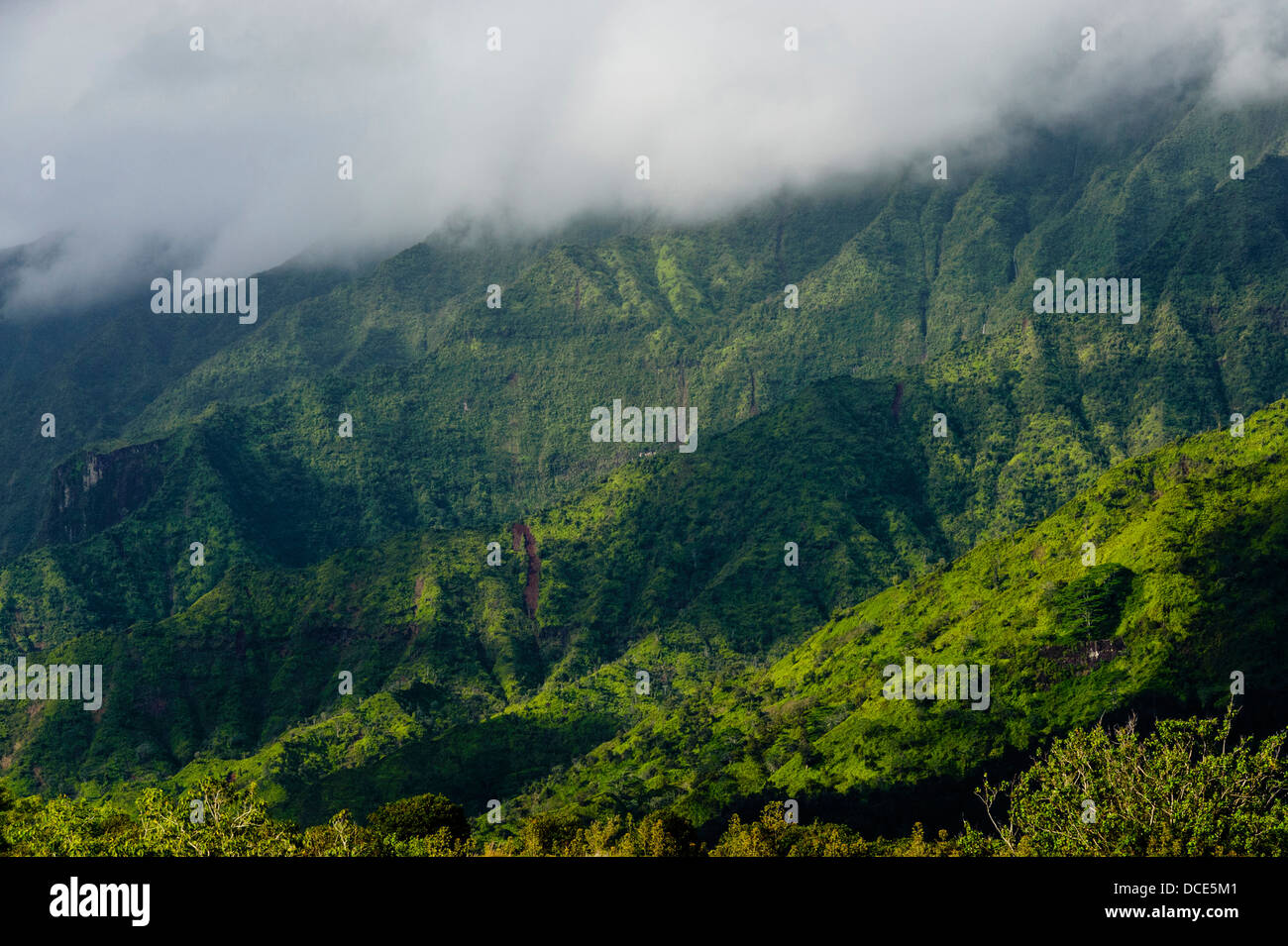 USA, Hawaii, Kauai. Vegetation and clouds cover the Makaleha Mountains ...