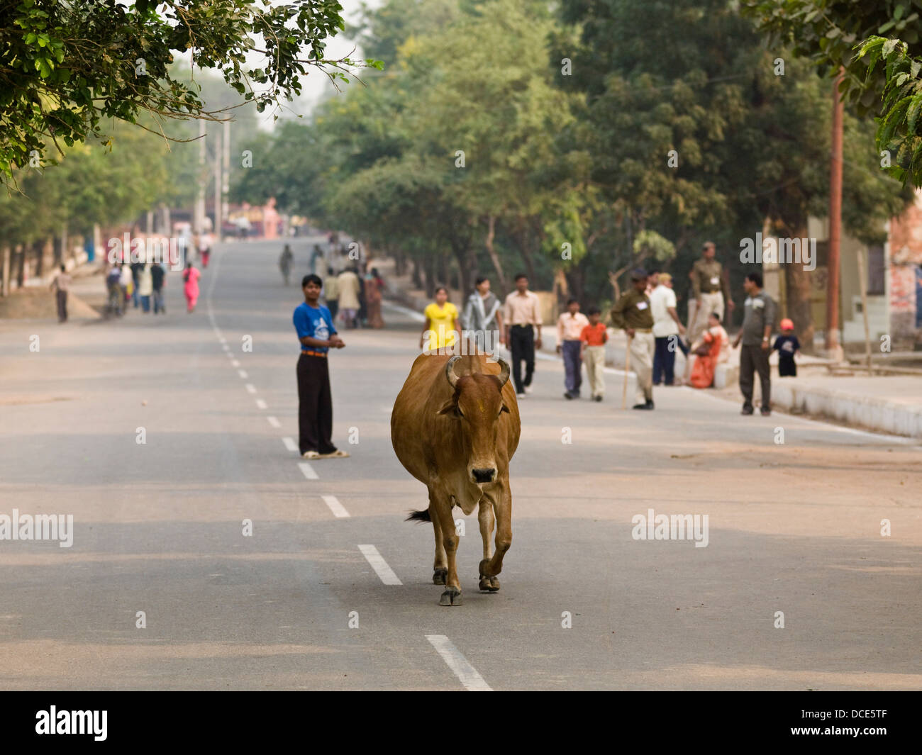 Background indian crowd street day hi-res stock photography and images ...