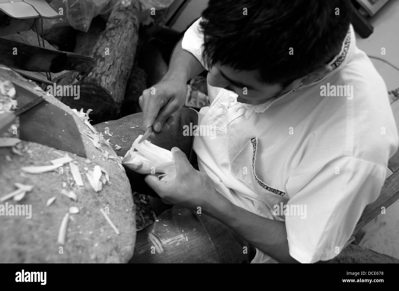 Latin america animal Black and White Stock Photos & Images - Alamy