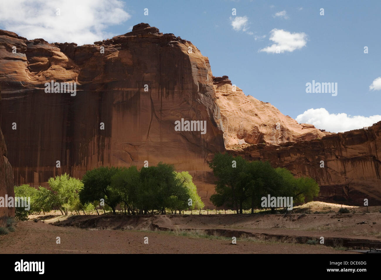 Canyon de Chelly, Chinle, AZ. Photo by Janet Worne Stock Photo - Alamy