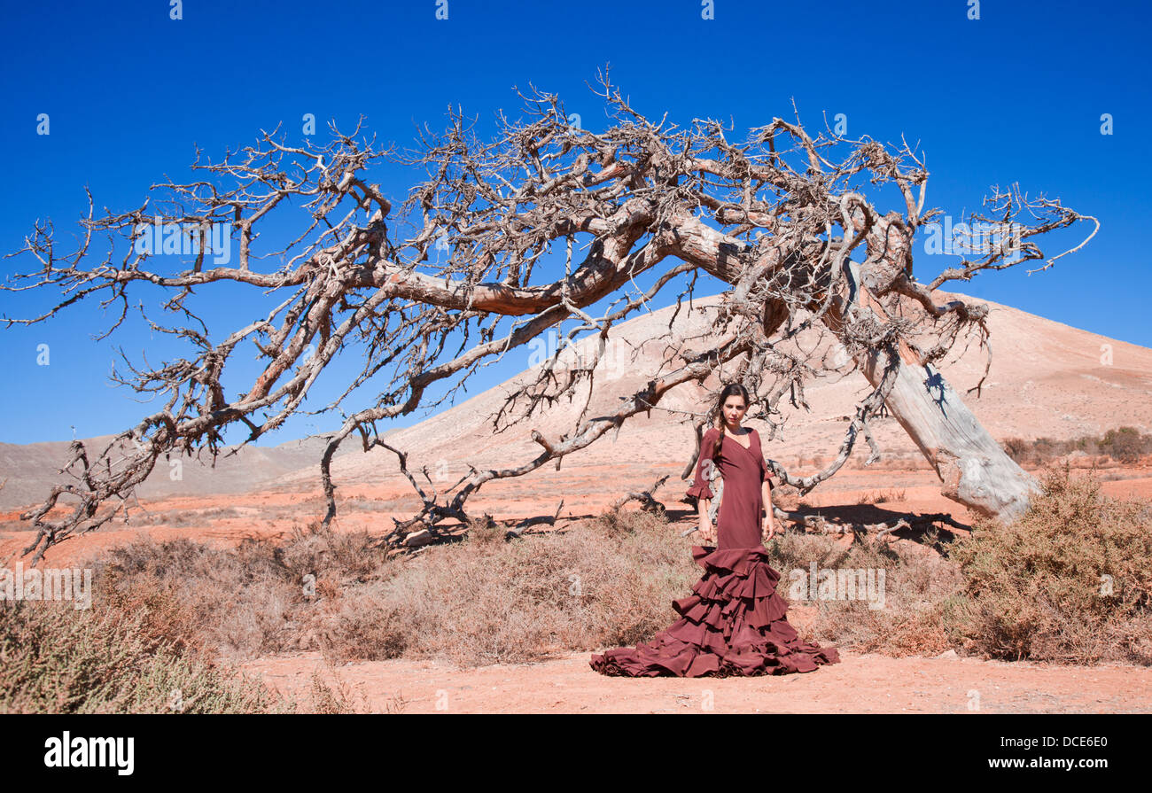 flamenco and a dead tree - art, life, and death Stock Photo - Alamy