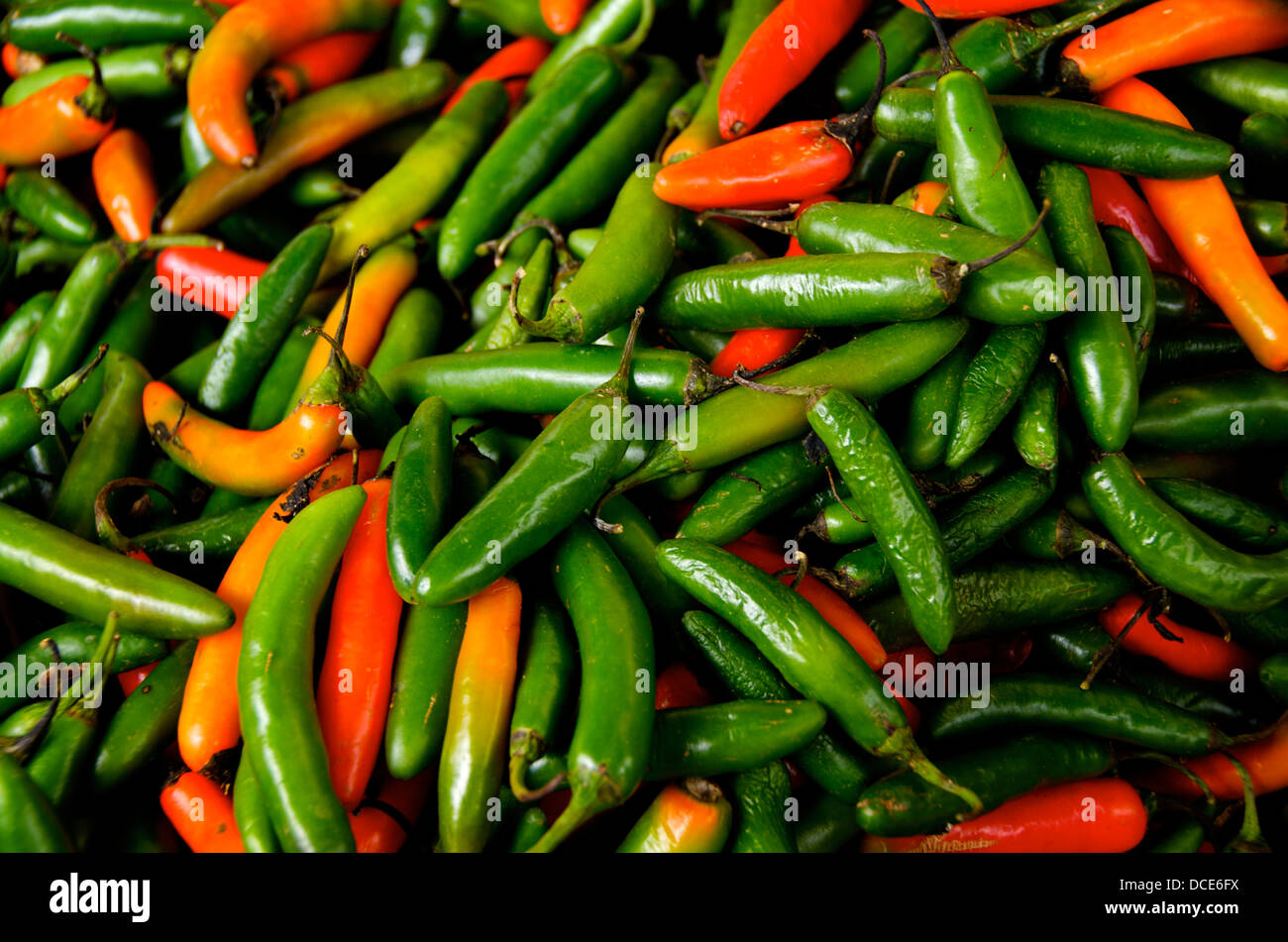 image of chilli pepper still life very colorful Stock Photo - Alamy
