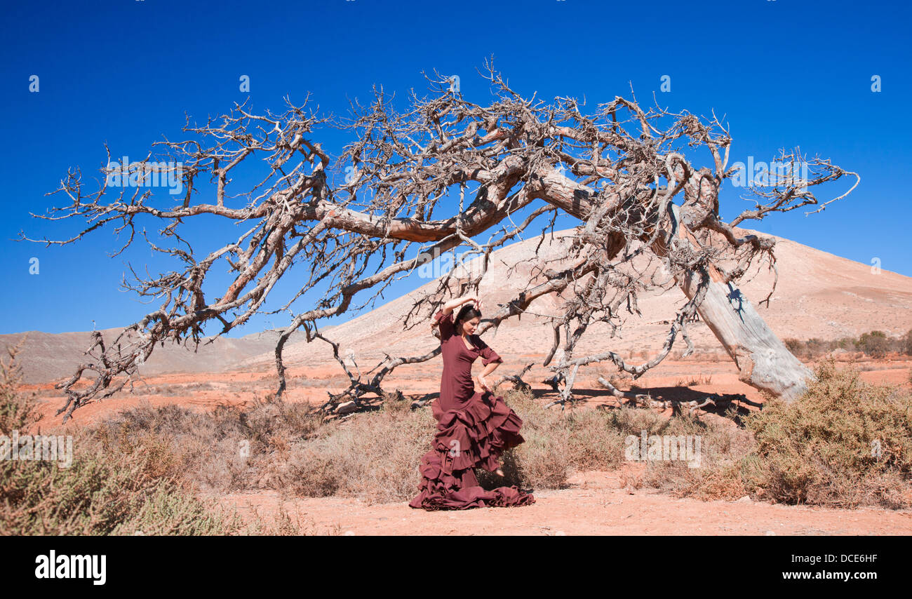 flamenco and a dead tree - art, life, and death Stock Photo - Alamy
