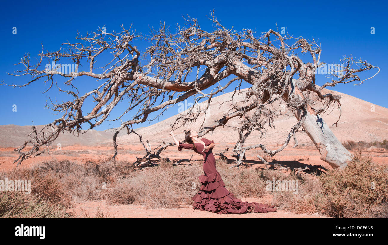 flamenco and a dead tree Stock Photo - Alamy