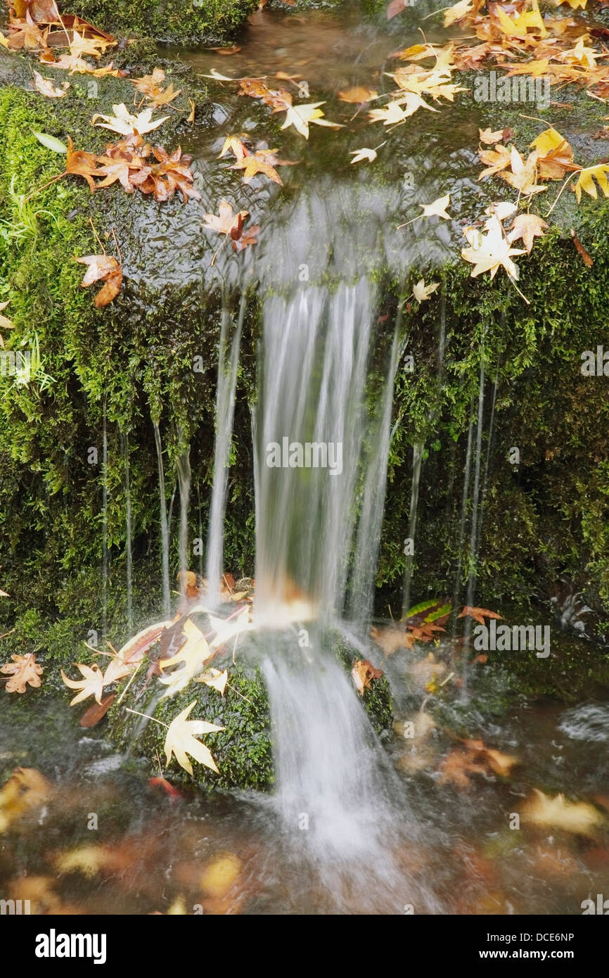 Autumn Leaves With Small Waterfall Stock Photo - Alamy