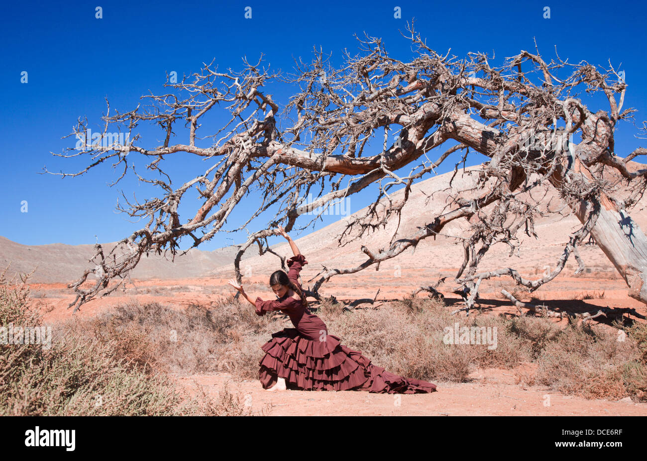 flamenco and a dead tree, art, life and death Stock Photo - Alamy