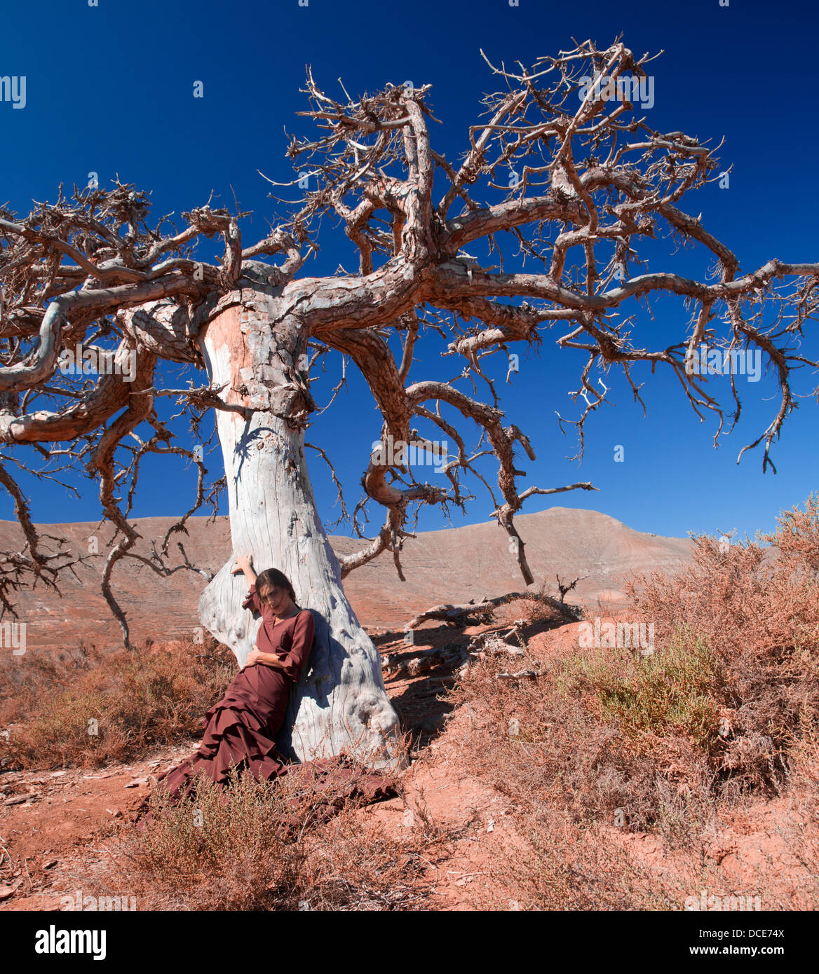 flamenco and a dead tree, art, life and death Stock Photo - Alamy