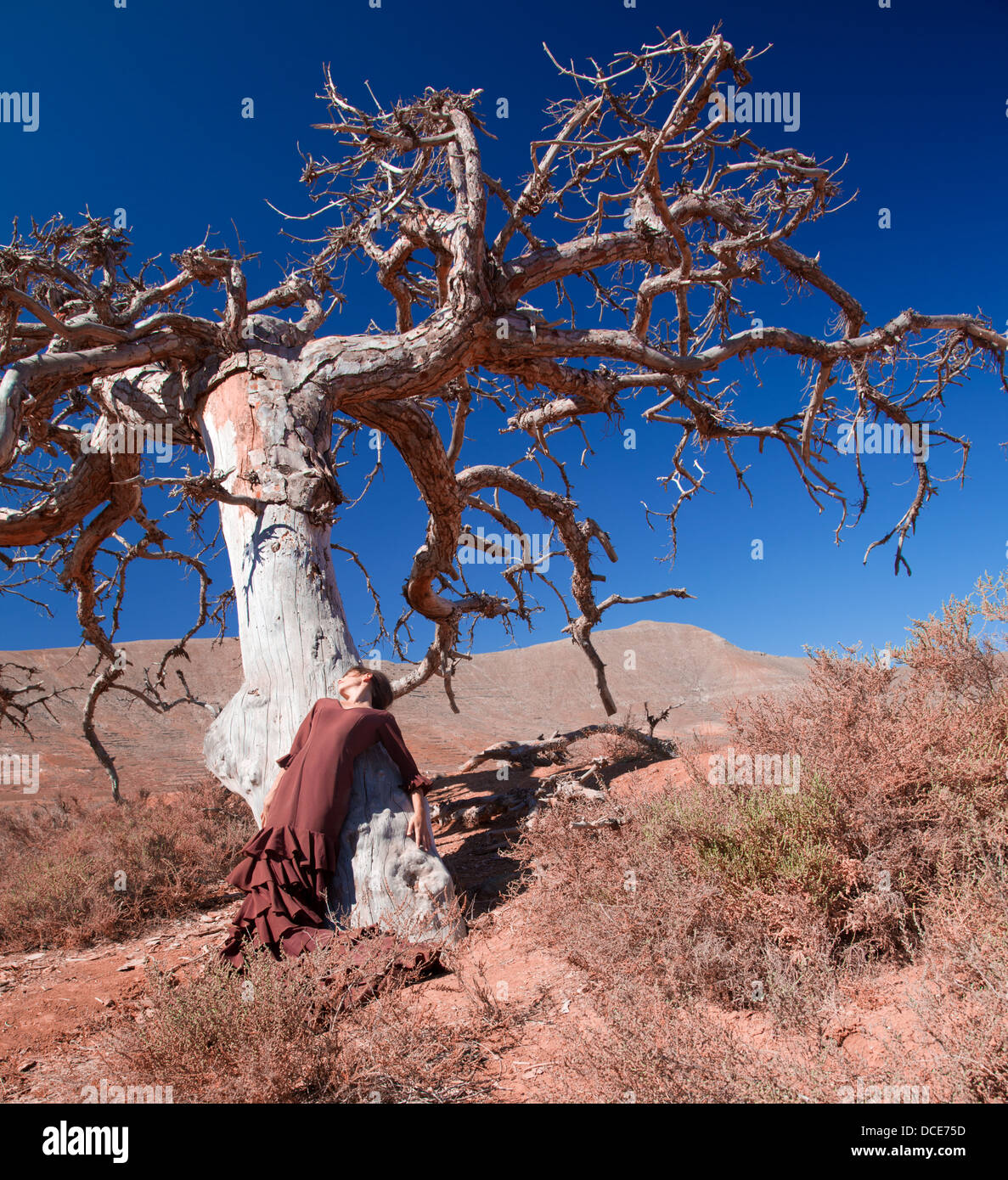 flamenco and a dead tree, art, life and death Stock Photo - Alamy