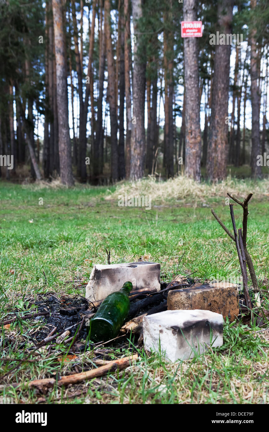 debris and extinguished bonfire in a clearing in the woods Stock Photo ...