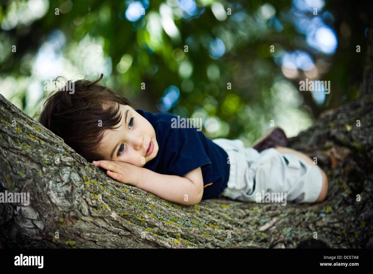 Young Boy Laying On Tree Branch Stock Photo - Alamy
