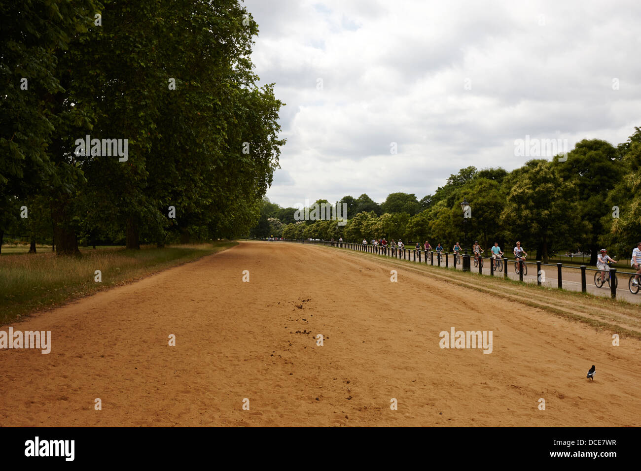 rotten row wide track hyde park London England UK Stock Photo - Alamy