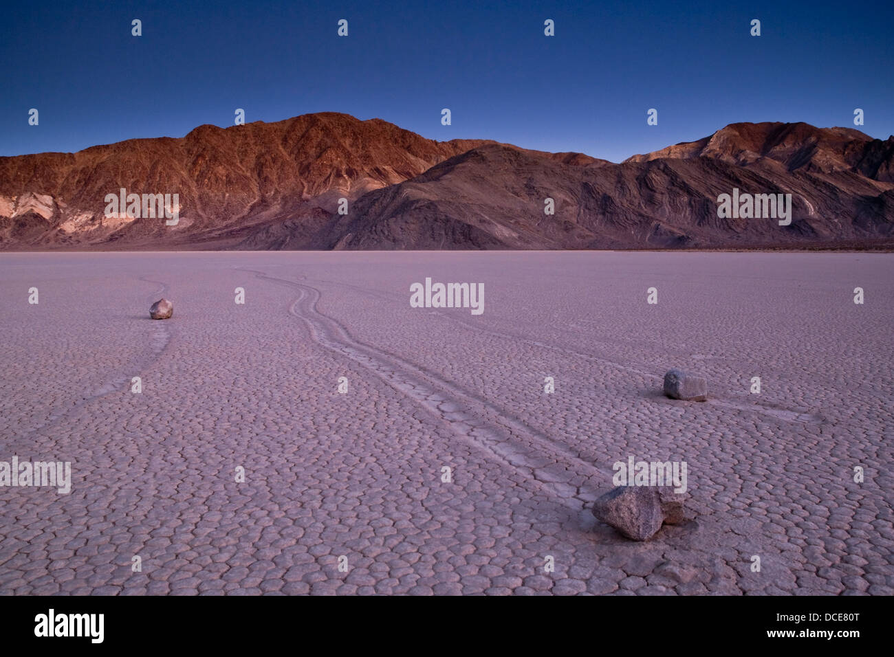 Tracks left by mysterious moving rocks on the dried flat mud at the ...