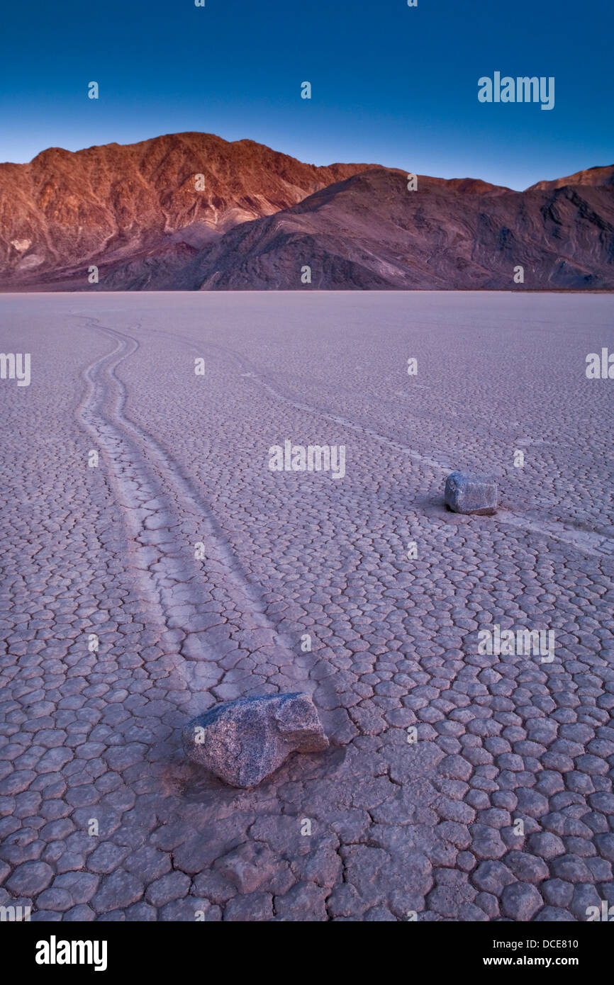 Tracks left by mysterious moving rocks on the dried flat mud at the ...
