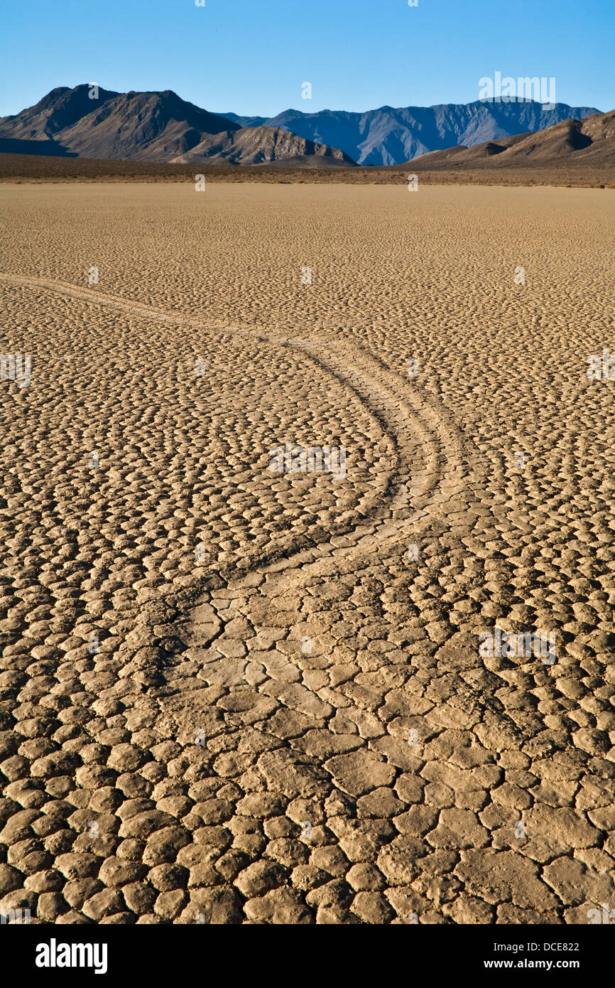Tracks left by mysterious moving rocks on the dried flat mud at the ...