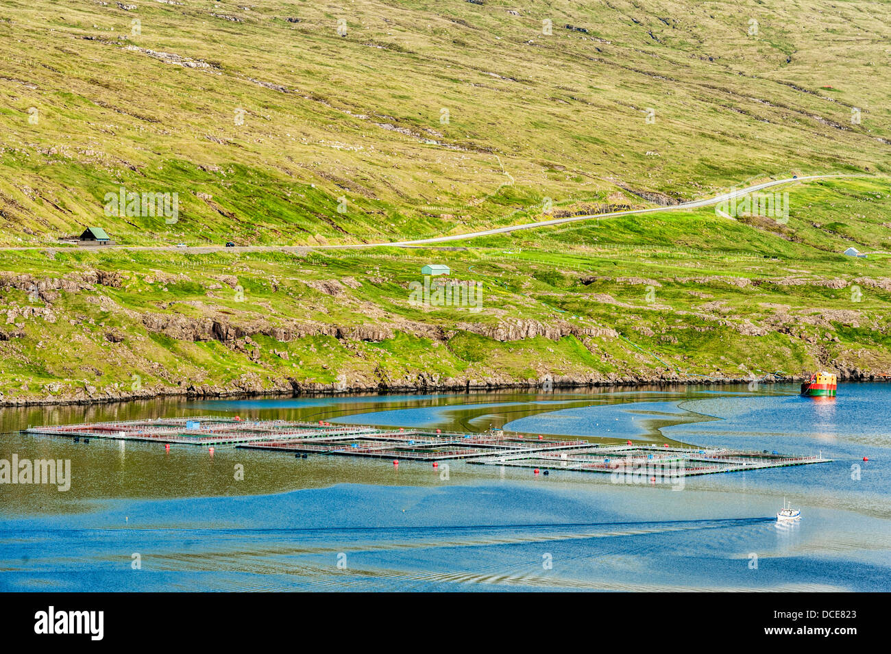 Salmon farming in the Faroe Islands Stock Photo - Alamy
