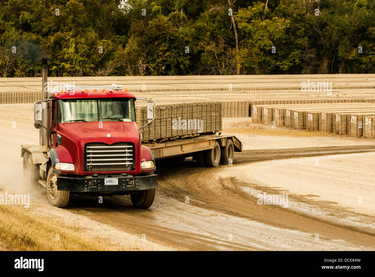 USA, Louisiana, St Francisville, US Army Corps of Engineers-St ...