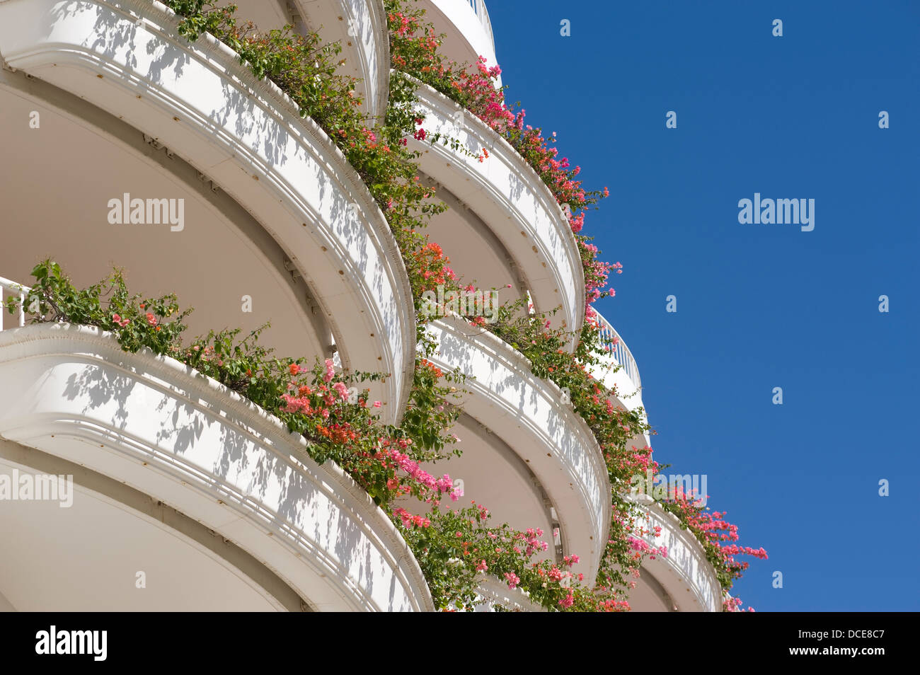 No shadow day hawaii hi-res stock photography and images - Alamy