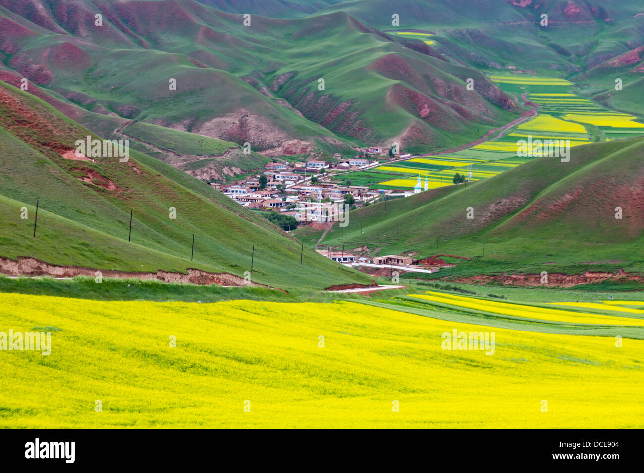 Beautiful landscape of yellow rape field located in red mountains Stock ...